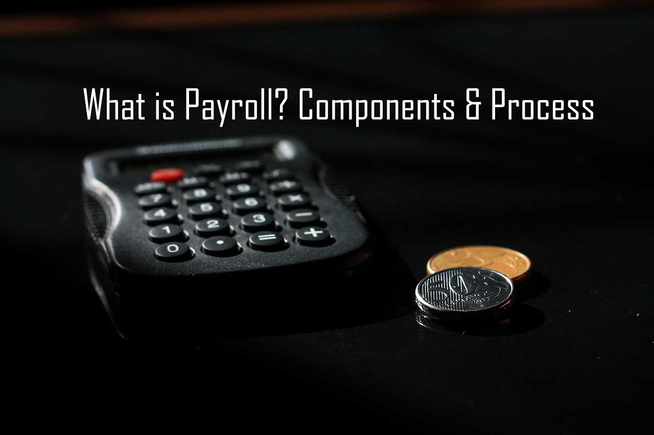 What is Payroll? - Components & Process of Payroll | Marketing Tutor