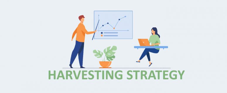 Business | Marketing Tutor